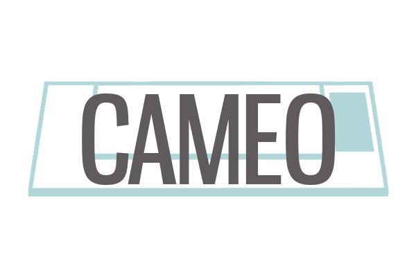 Cameo 101 – Niche Creative Studio